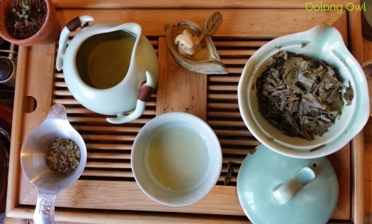 July White2tea Club with 2015 Green Shroom Pu'er - Tea Review